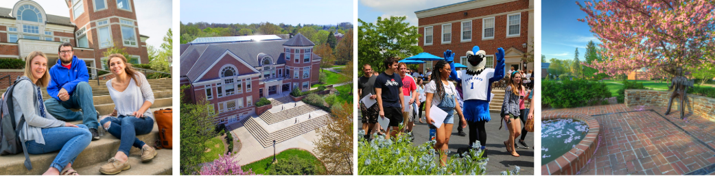 Application Management